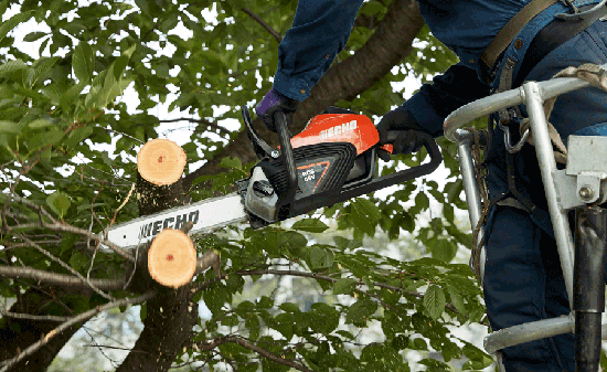 エコー ECHO バッテリーチェンソー BCS56V/200 LBP-560-200(2Pバッテリー)・充電器セット ※在庫処分特価品 - 円陣 オンラインショップ ENGINE ONLINE ...